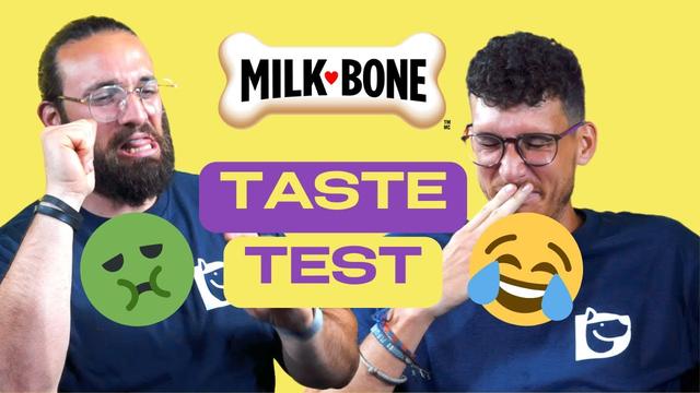 Can Humans Eat Milk Bones: What You Need to Know