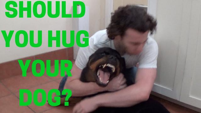 Understanding Why Your Dog Gets Upset When You Hug Someone