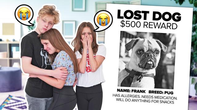 The Mystery of Piper Rockelle's Missing Dog Frank: What Really Happened?