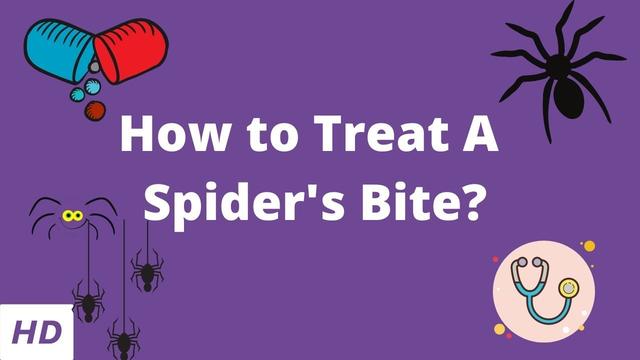 Neosporin è efficace per il trattamento delle punture di ragno ...