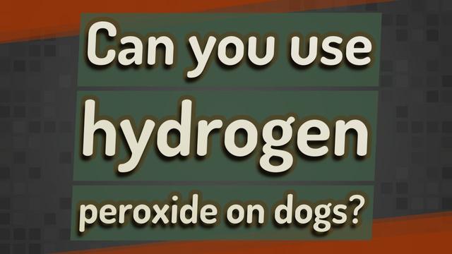Can Hydrogen Peroxide effectively eliminate ticks on dogs?