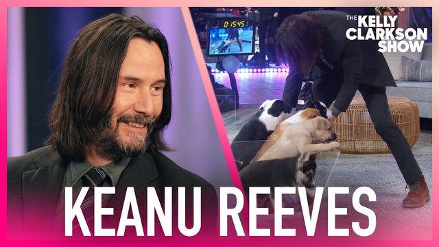 ¿Tiene perro Keanu Reeves? Descubriendo la verdad sobre las mascotas de ...