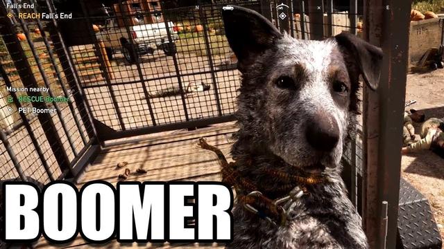 Exploring the Boomer breed in Far Cry 5: A guide for gamers
