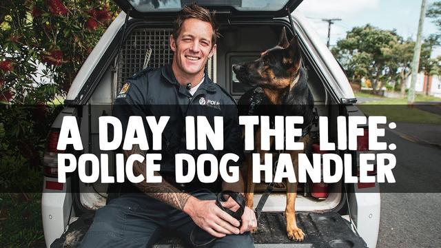 Where Do Police Dogs Live: Inside Look at K9 Units and Their Homes
