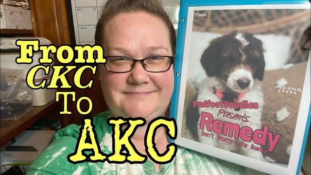 Can You Register A CKC Dog With AKC - Find Out Here!
