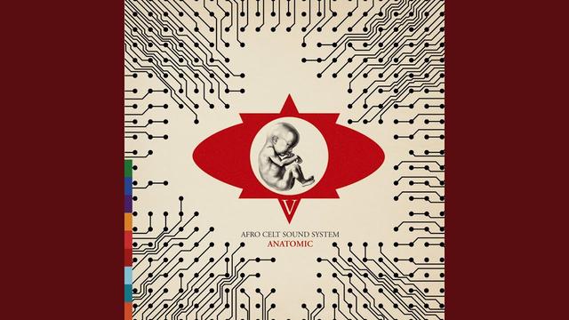 Dohl Dog: Your Ultimate Guide to This Unique Breed