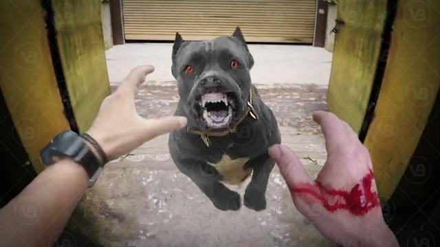 How Fast Can A Cane Corso Kill You: Understanding the Potential Danger