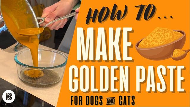 How Much Golden Paste for Dogs: Dosage and Benefits