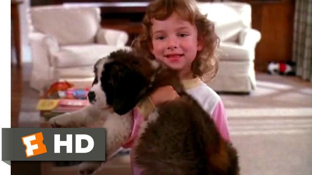 Beethoven Movie Dog Breed: Descubra la raza del famoso perro San ...