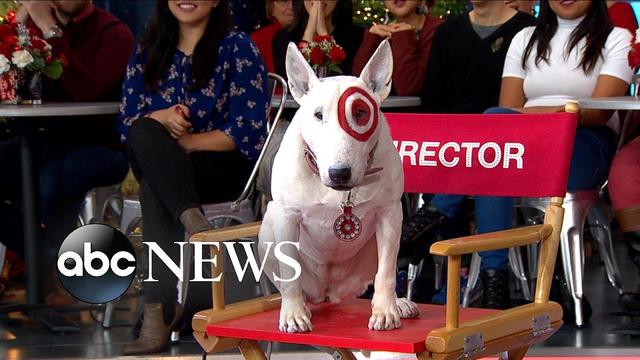 Descubra la historia de la mascota de Target Target Bullseye Dog