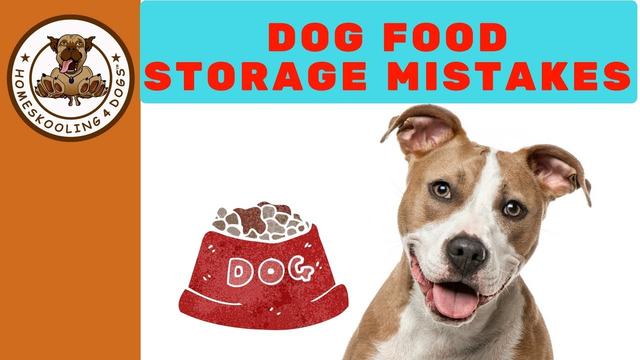 How Long Does Kibble Last In Airtight Container: A Guide to Extended ...