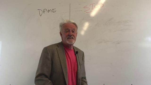 Understanding Stud Dog Meaning and Its Importance in Breeding