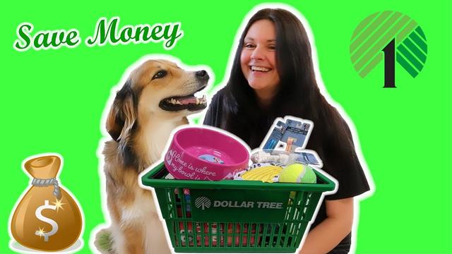 Are Dogs Allowed In Dollar Tree: A Comprehensive Guide