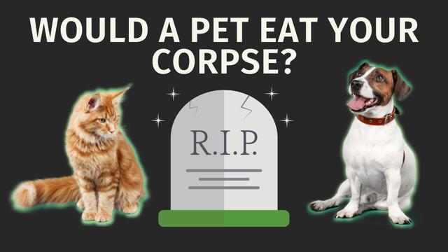 Would My Dog Eat Me If I Died: The Truth About Canine Behavior