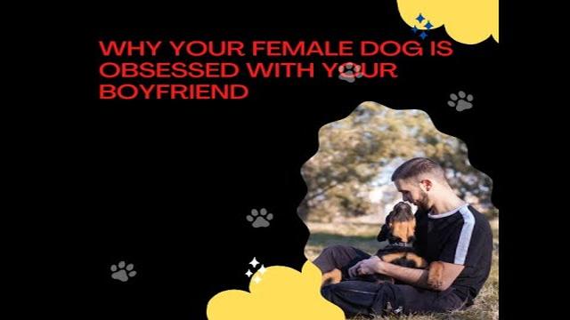 Understanding Your Female Dog's Obsession with Your Boyfriend
