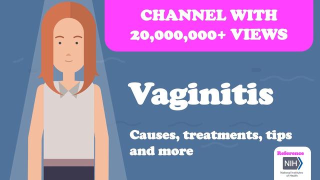 Traitement de la vulvovaginite de la chienne : Causes, symptômes et ...
