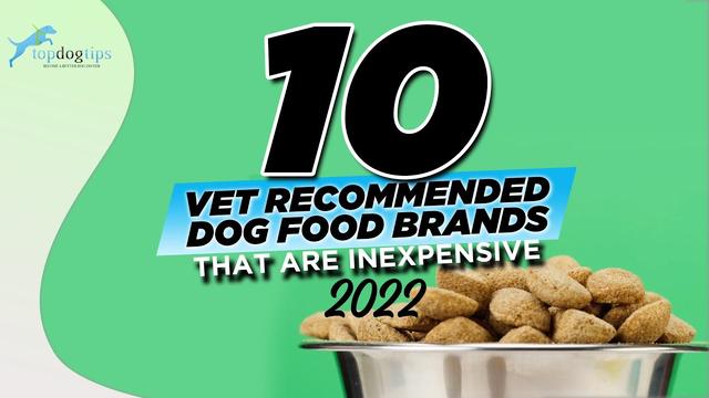 Is Iams Aafco Approved: What You Need to Know
