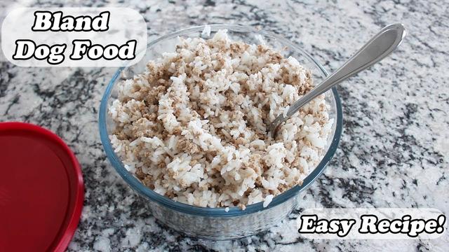 How To Properly Boil Ground Turkey for Dogs: A Complete Guide