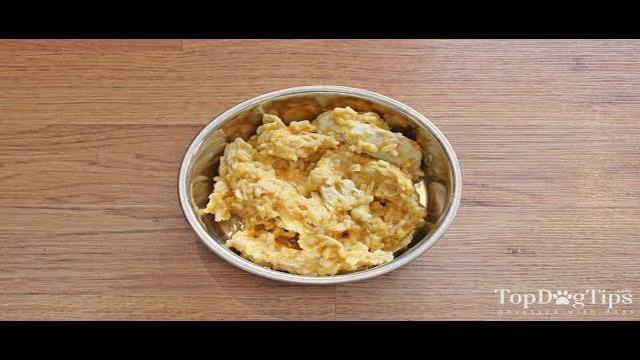 How Boiled Potatoes Can Relieve Diarrhea in Dogs - Expert Advice