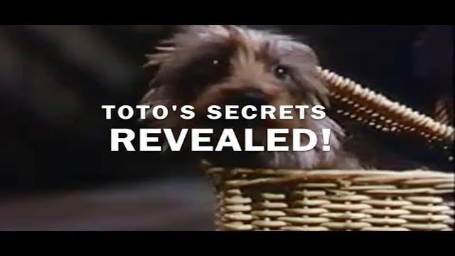 Descubra el misterio: ¿Cómo acabó el perro Toto?