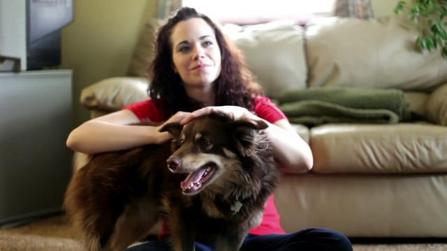 Vaporizer For Dogs: A Guide to Safe and Effective Vaporization for Your ...