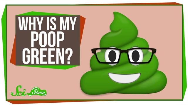 Causes et remèdes pour le caca vert : Tout ce qu'il faut savoir