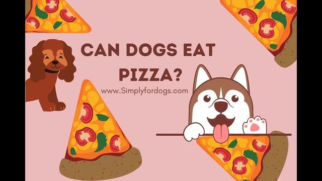 Los perros pueden disfrutar de la pizza: Lo que hay que saber