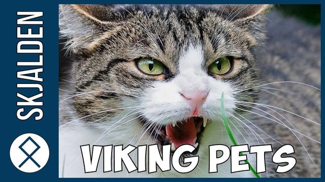 What Dogs Did Vikings Have: Exploring Viking Dog Breeds