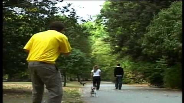 Can Dog Whistles be Used to Train Wolves?