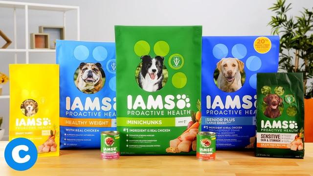 Iams Dog Food: How Much to Feed? – Expert Guide and Feeding Recommendations