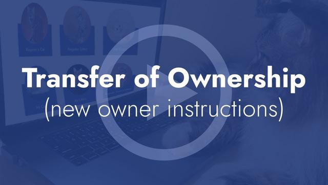 Akc Transfer Ownership: A Step-by-Step Guide for Easy Transfer of Ownership