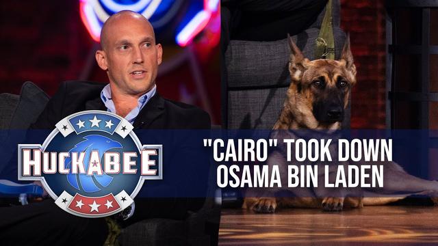 Quand le chien Cairo est-il mort ? Découvrez la vérité sur la ...