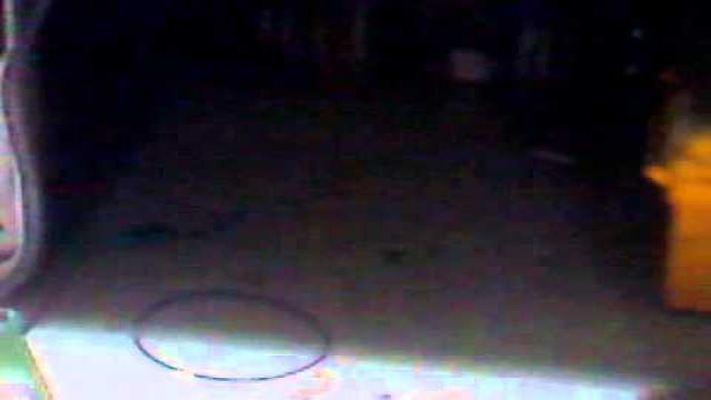 Effective Methods to Encourage a Mouse to Come Out of Hiding