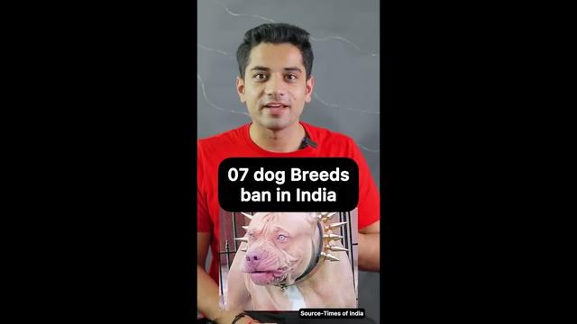 Understanding Who Dog Price: Everything You Need to Know