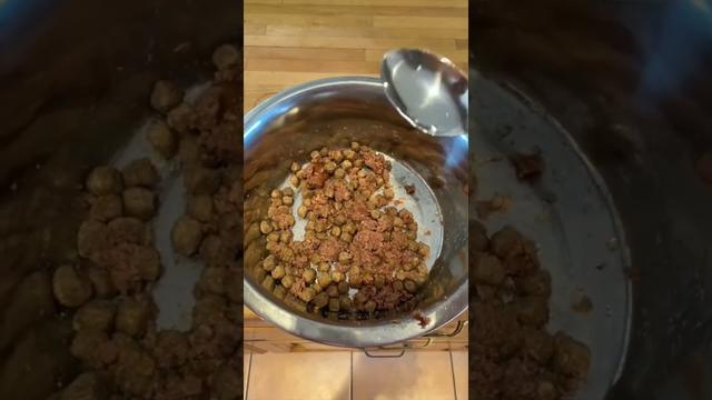 Benefits of Using Olive Oil for Your Dog's Paws [Website Name]