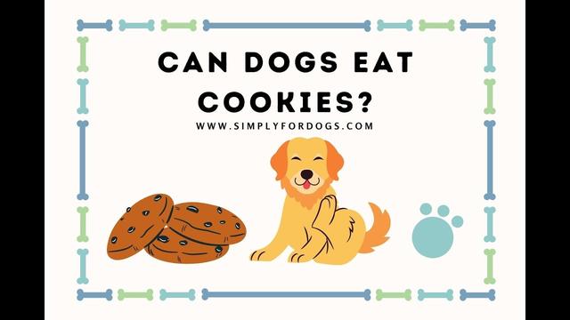 Can Dogs Safely Eat Oatmeal Raisin Cookies? Find out Here