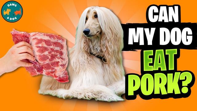 ¿Pueden comer los perros chuletas de cerdo deshuesadas? Guía completa ...