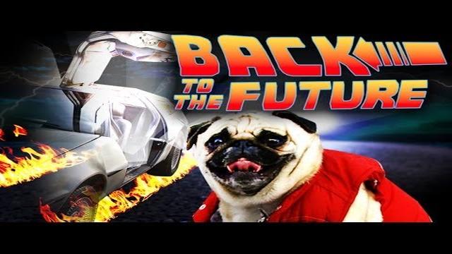 Dog in Back to the Future: A Guide to the Beloved Canine Character