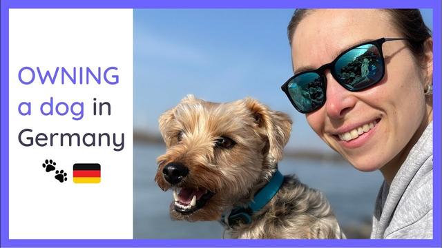 Dogs In Germany: Everything You Need To Know