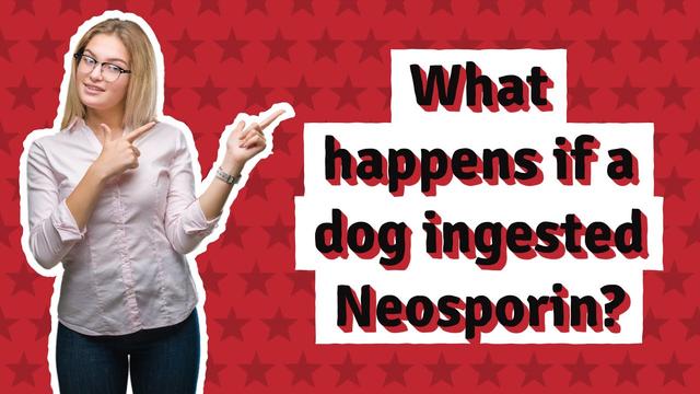 What to Do If Your Dog Ate Neosporin: A Helpful Guide