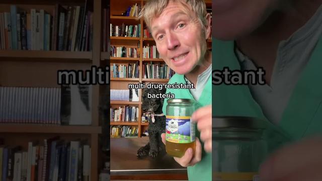 How Much Penicillin to Give a Dog: Dosage and Guidelines