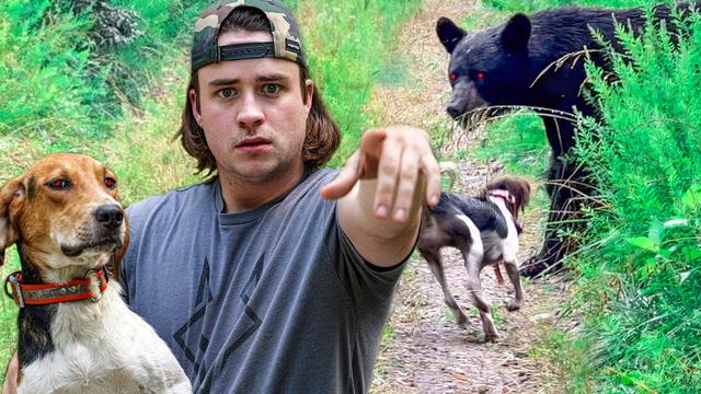 Prezzo del cane da orso: quanto costa un cane da orso?