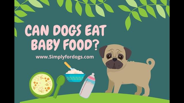 Gerber Baby Food: The Perfect Dog Food for Puppies and Dogs of All Ages