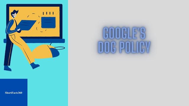 Google Dog Policy - All You Need to Know about Dogs at Google