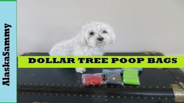 Dollar Tree Poop Bags - Affordable and Convenient Dog Waste Solution