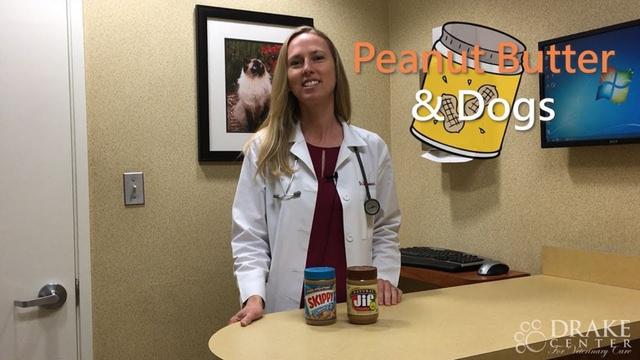 Can Dogs Safely Enjoy Peanut Butter Crackers? Find Out! Can Dogs Safely Enjoy Peanut Butter Crackers? Find Out!
