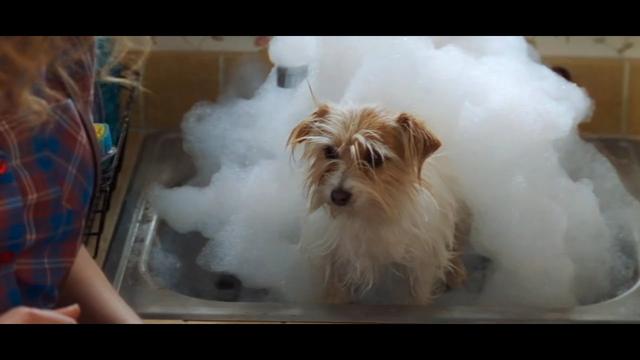 Explorando al misterioso perro Wandavision: Orígenes, poderes y teorías