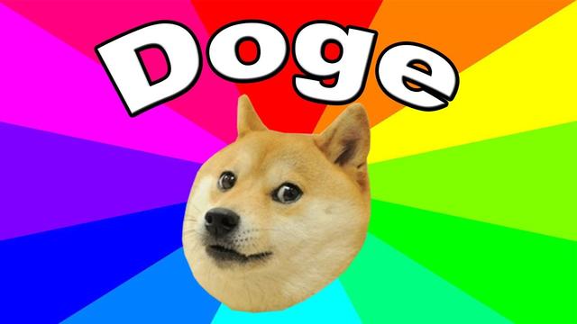 Quelle est la race de Doge ? Dévoiler le mystère du Shiba Inu préféré ...