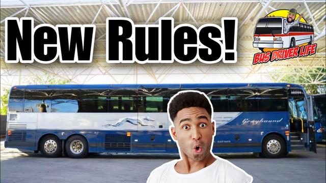 Understanding Economy Extra: Greyhound's Fare Option Explained ...