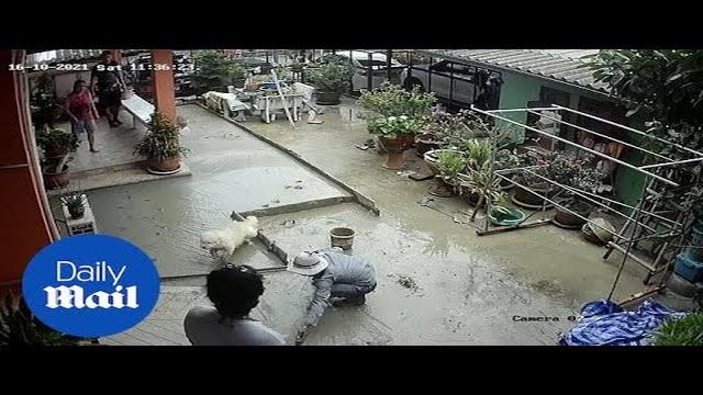 Is Concrete Bad For Dogs? The Potential Risks and Precautions